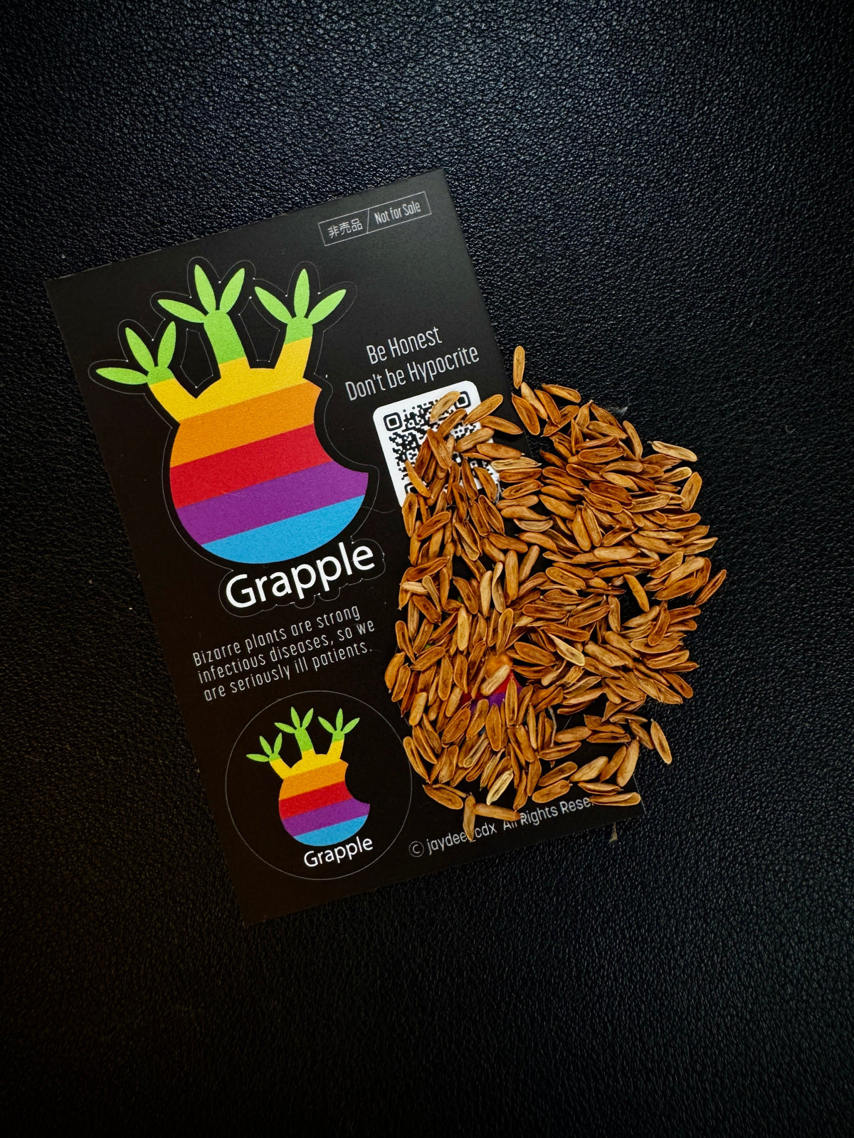 【6/29採取】JAY SEED 2（グラキリス）送料込み – OKINI