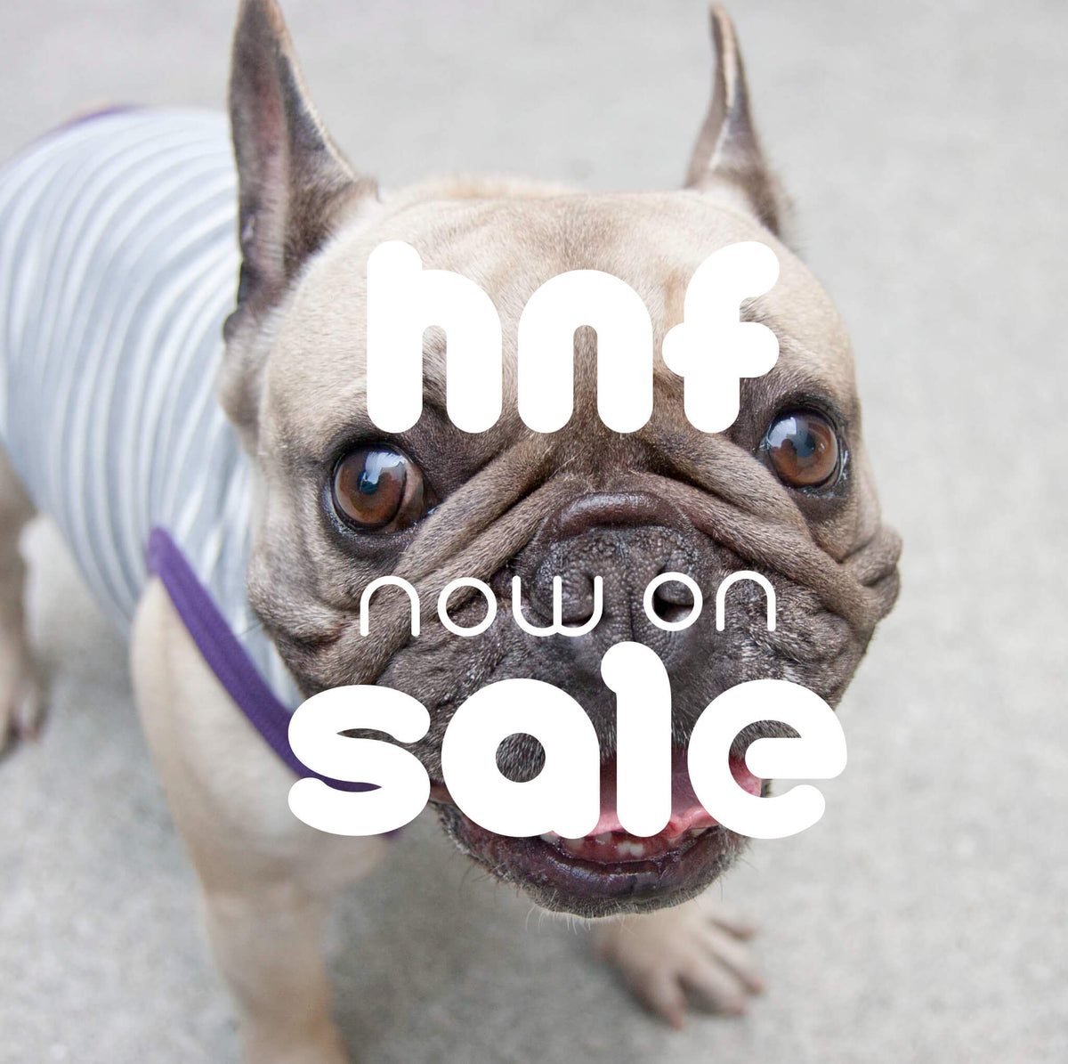 [オープン記念]hnfセール開催 – OKINI